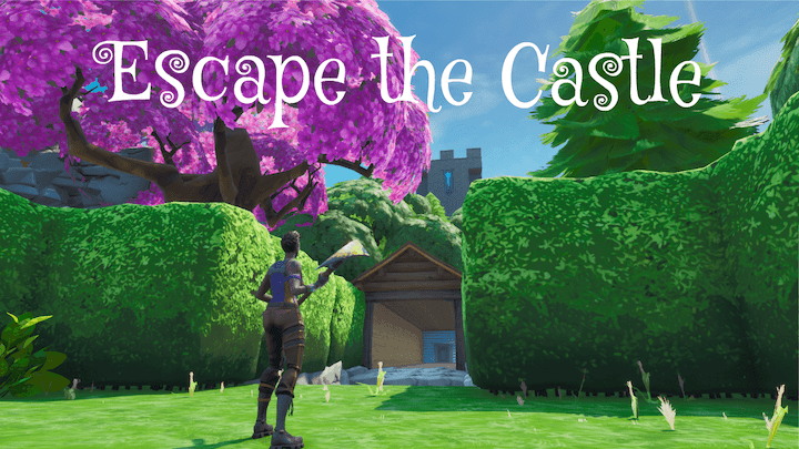 Escape the Castle